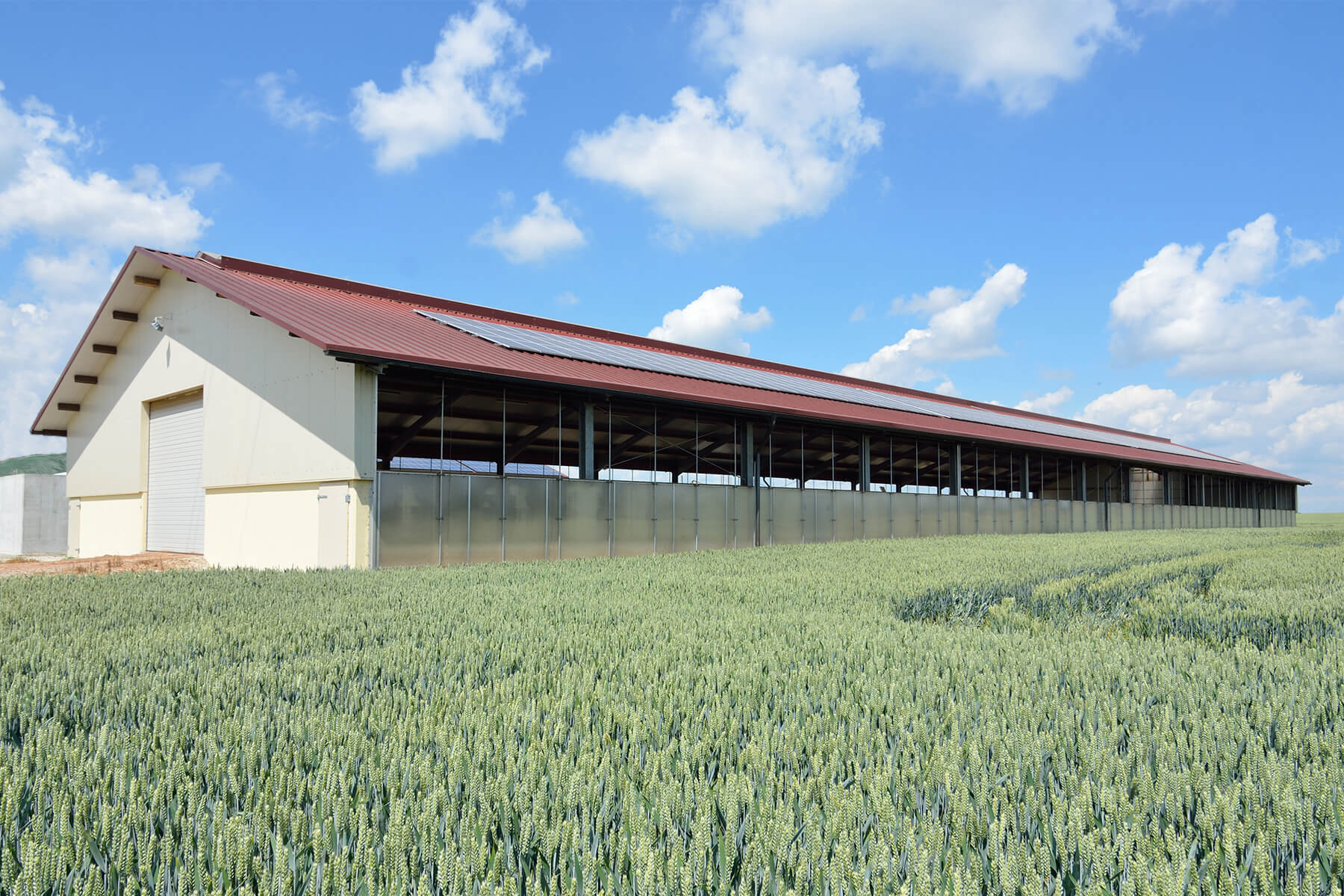 Bull Barns - WOLF System